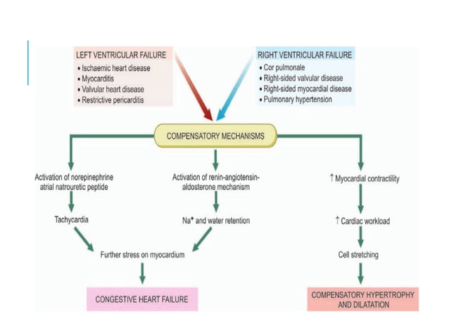 Pathophysiology of Heart failure