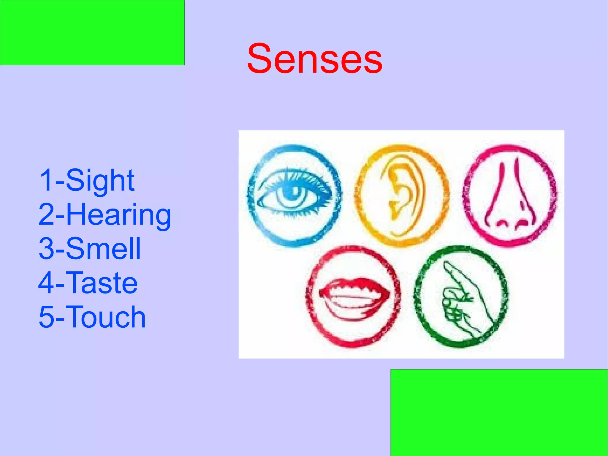 Sense of Hearing | ODP