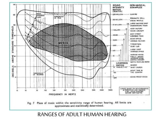 ERGONOMICS - Hearing (auditory sense) | PPTX
