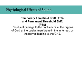 ERGONOMICS - Hearing (auditory sense) | PPTX