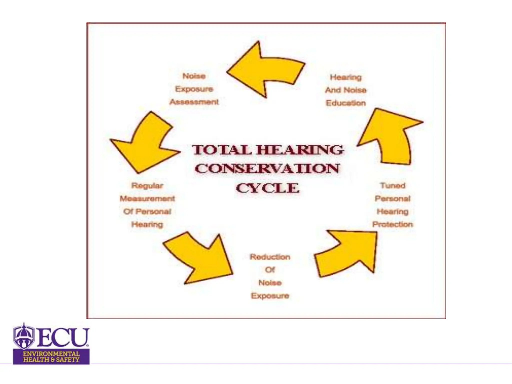 Occupational Hearing-Conservation-Training | PPTX