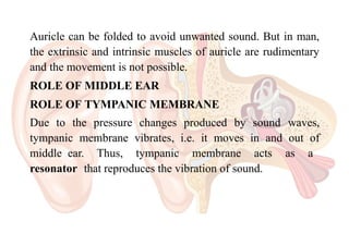 HEARING - Copy.pptx xxxxxxxxxxxxxxxxxxxxx | PPT