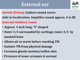 Hearing | PDF