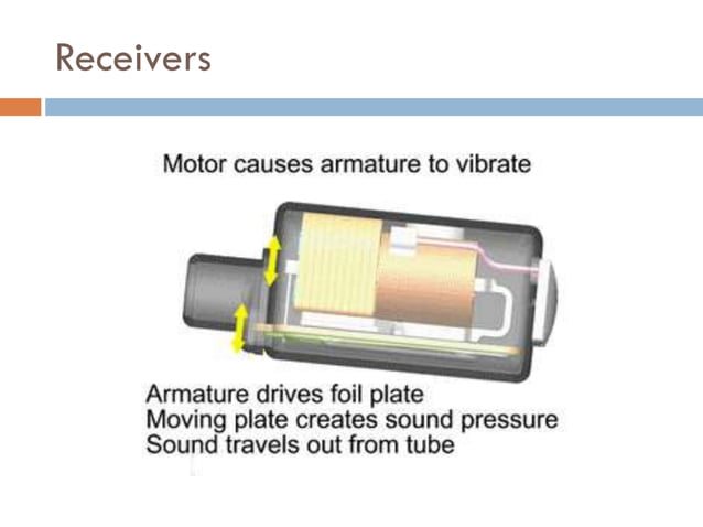 Hearing aid anatomy | PPT