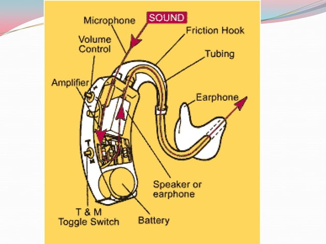 Hearing aids | PPT