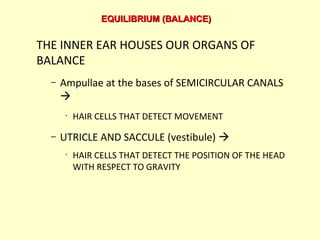 Hearing and Equilibrium | PPT