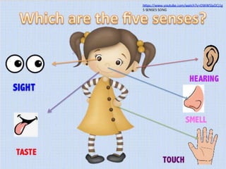 UNIT 1 SCIENCE 3rd: THE HUMAN BODY | PPTX