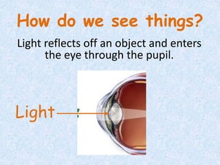 UNIT 1 SCIENCE 3rd: THE HUMAN BODY | PPTX