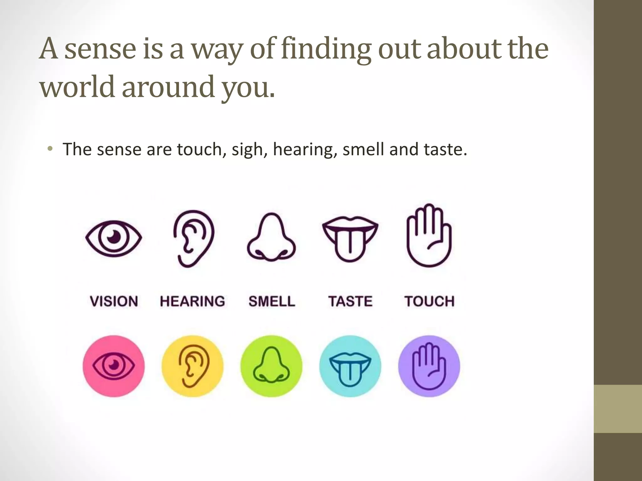 Hearing and touching senses | PPTX