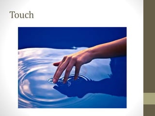 Hearing and touching senses | PPTX