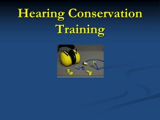 Hearing conservation | PDF