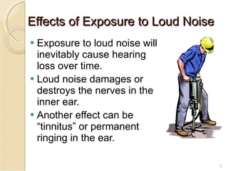 Hearing Conservation 2010 | PPT