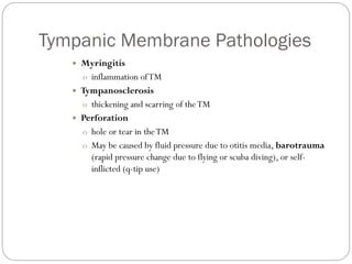 Hearing disorders review | PPTX | Ear, Nose and Throat Conditions ...