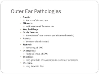 Hearing disorders review | PPTX | Ear, Nose and Throat Conditions ...