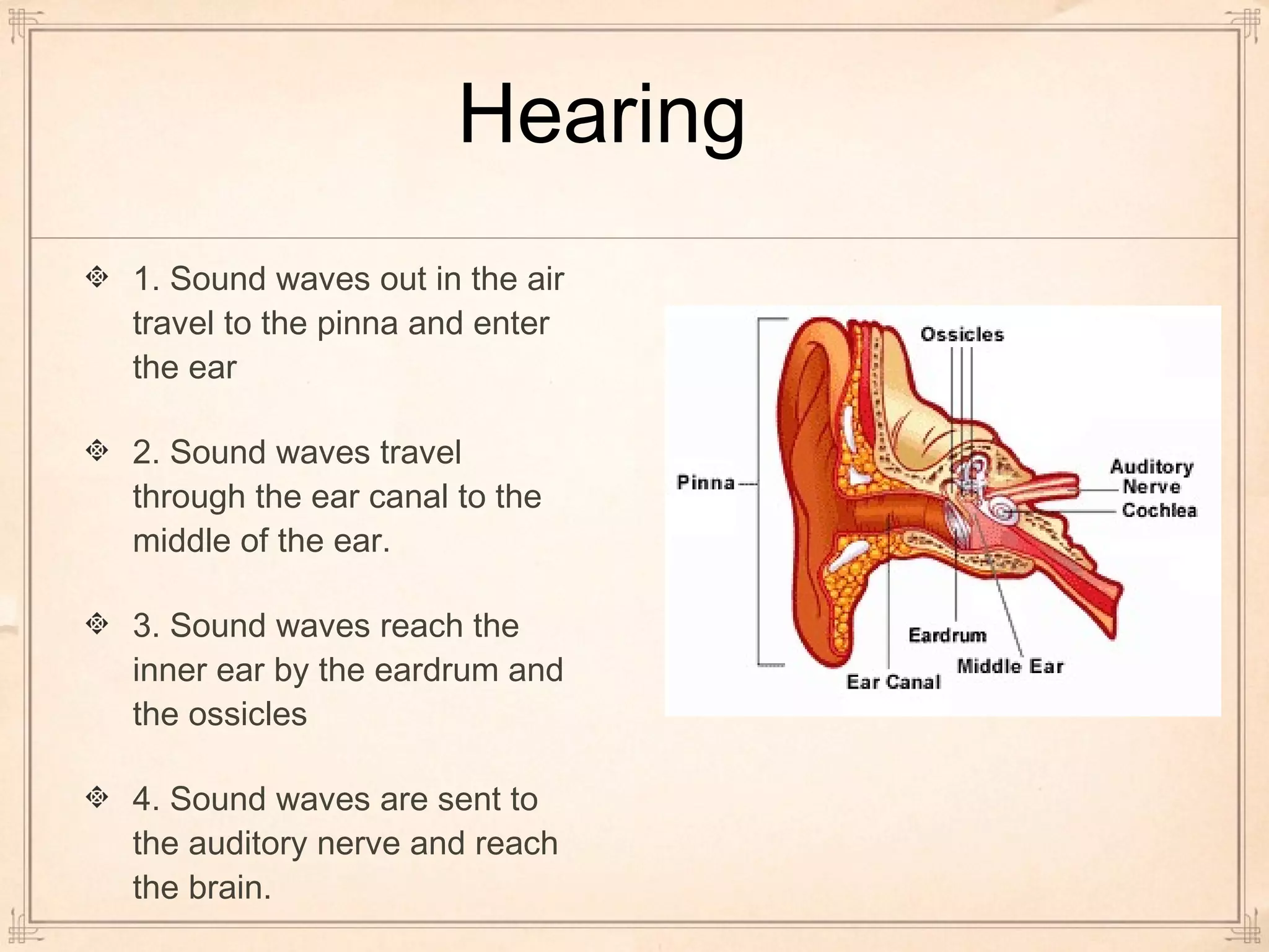 Hearing impairment presentation | PPT