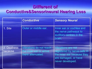 Hearing Loss | PPT