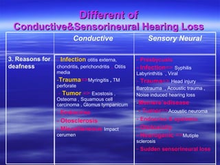 Hearing Loss | PPT