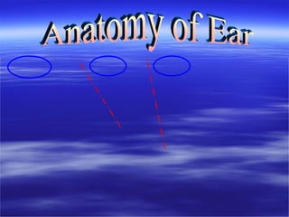 Hearing Loss | PPT