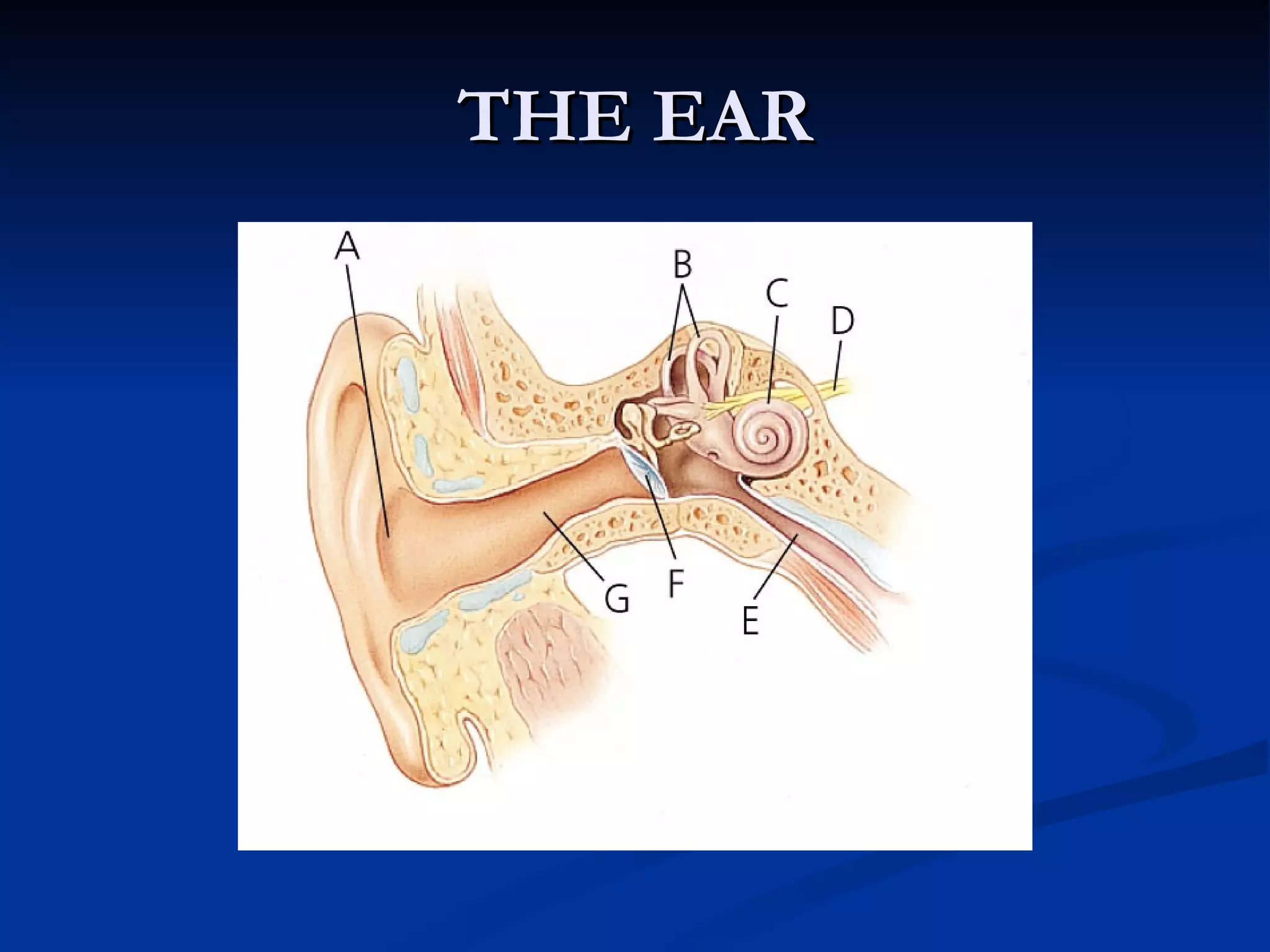 Hearing Losspowerpoint | PPT