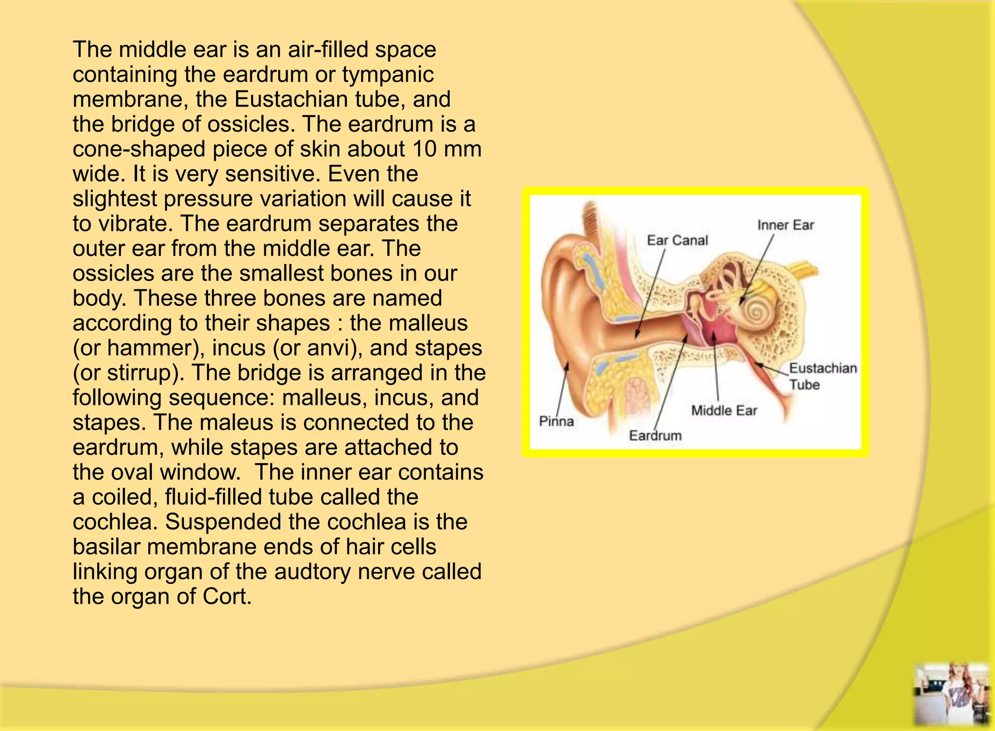 Hearing process (2) | PPTX