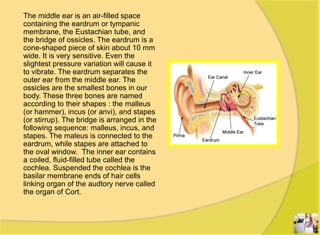 Hearing process (2) | PPTX