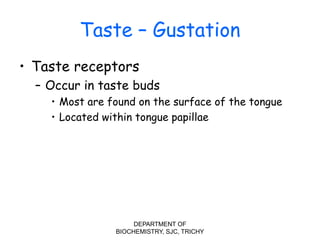 Hearing,Smell,Taste and Vision.ppt