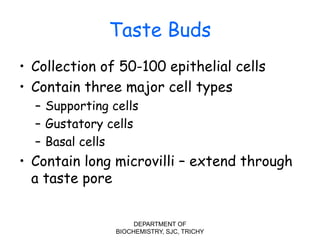 Hearing,Smell,Taste and Vision.ppt