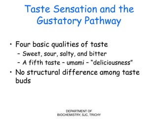 Hearing,Smell,Taste and Vision.ppt