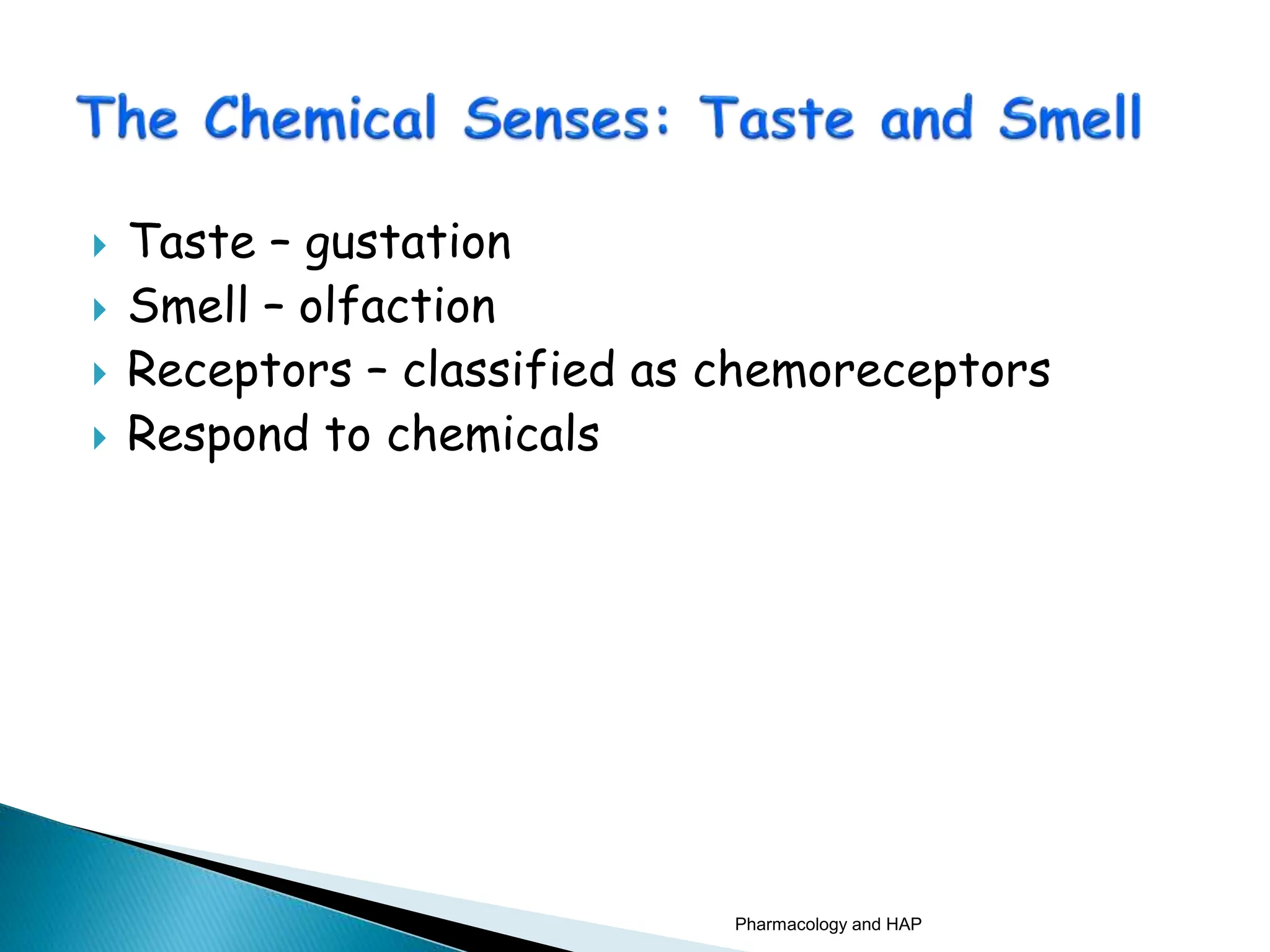 Hearing,Smell,Taste and Vision.ppt