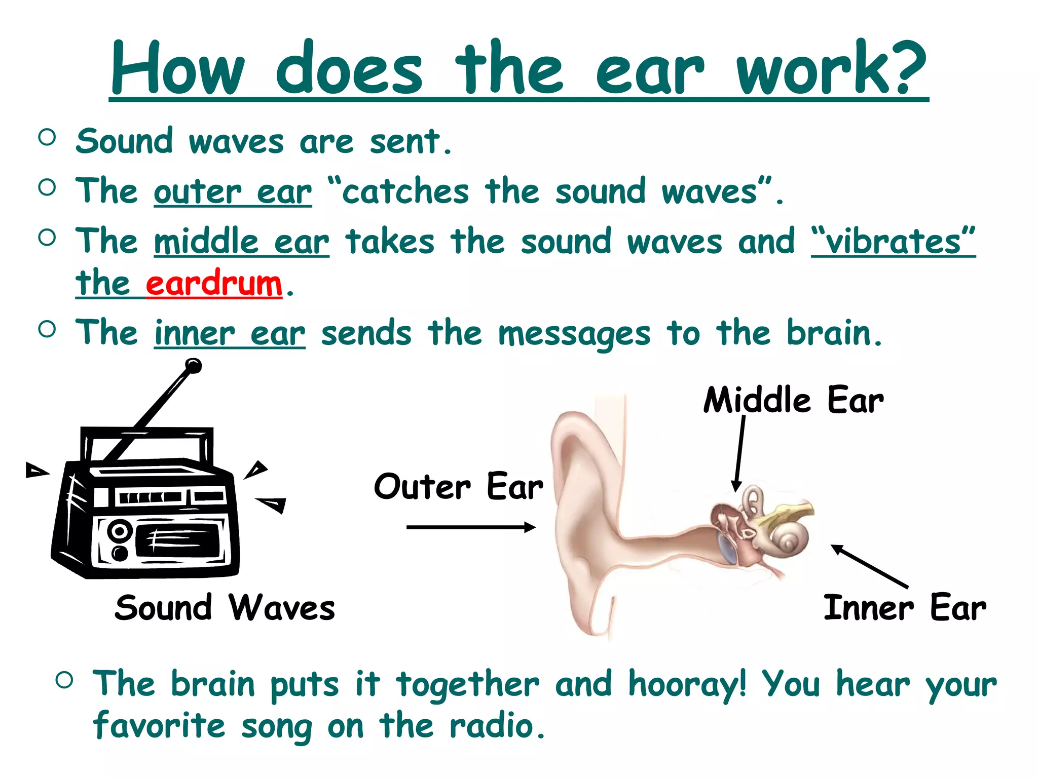Hearing sound.pptab.pptccc | PPT