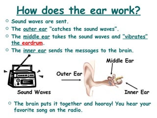 Hearing sound.pptab.pptccc | PPT