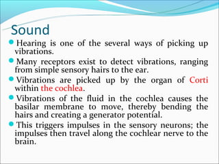 Hearing test | PPT