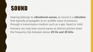 Hearing and vestibular system - simple basics | PPTX