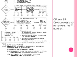 The Dvorak Technique | PPTX
