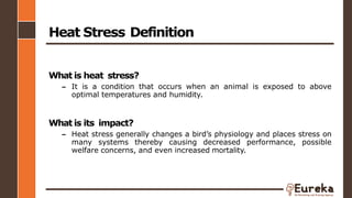 Heat Stress.pptx