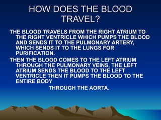 The human heart | PPT