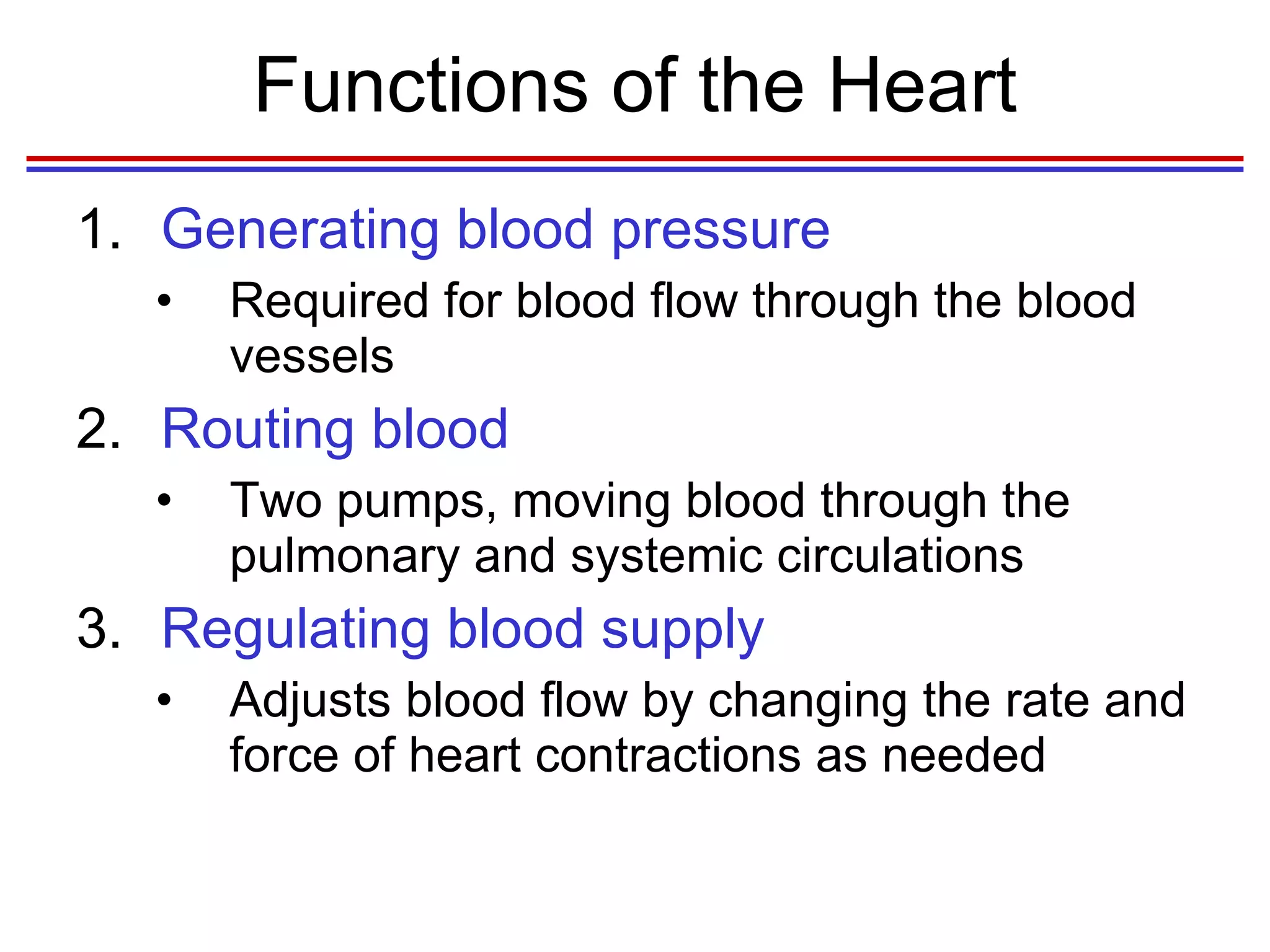 Heart | PPT