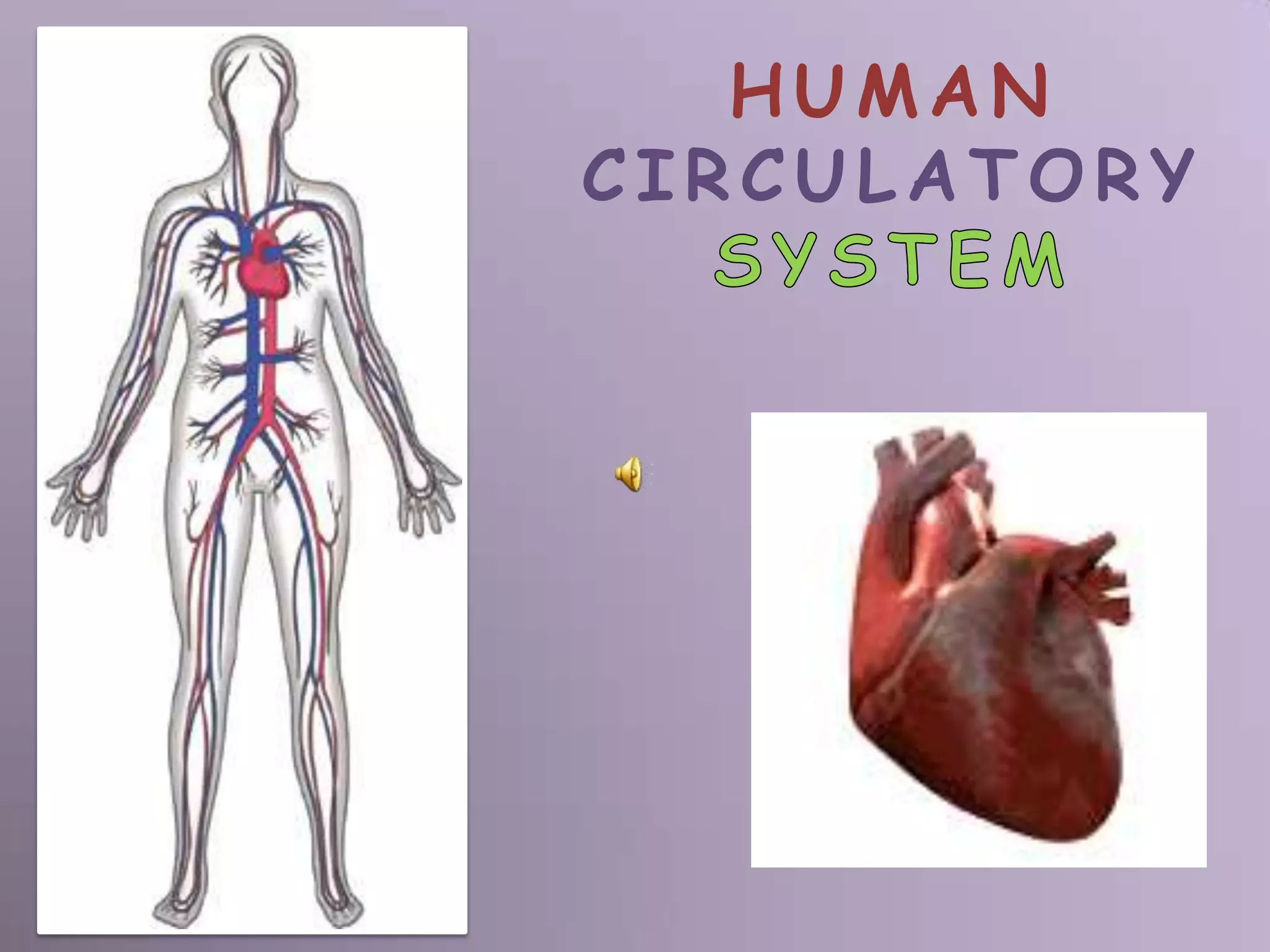 Human Heart and its function | PPTX