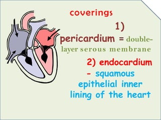 Human Heart and its function | PPTX