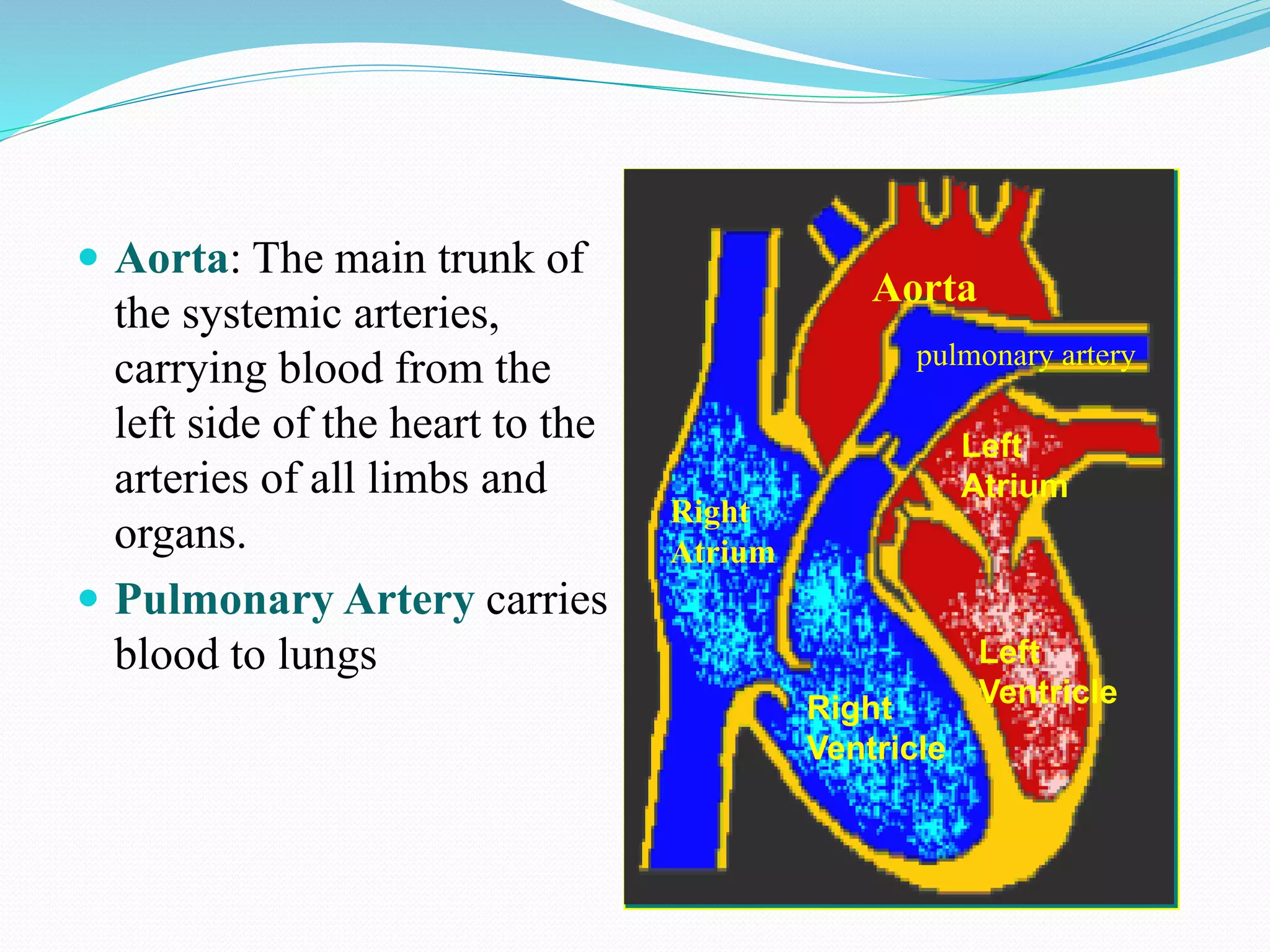 Heart Powerpoint Presentation | PPSX