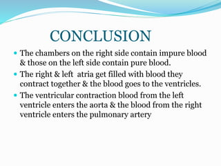 Heart Powerpoint Presentation | PPSX