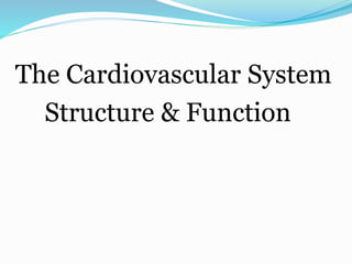 Heart Powerpoint Presentation | PPSX