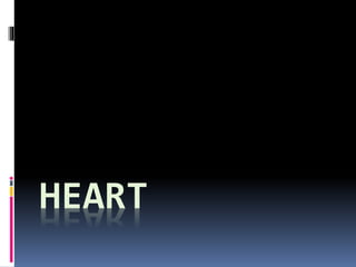 Human heart presentation | PPT