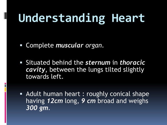 Human heart presentation | PPT