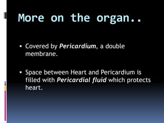 Human heart presentation | PPTX