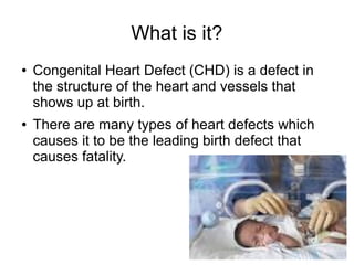 CHD | ODP