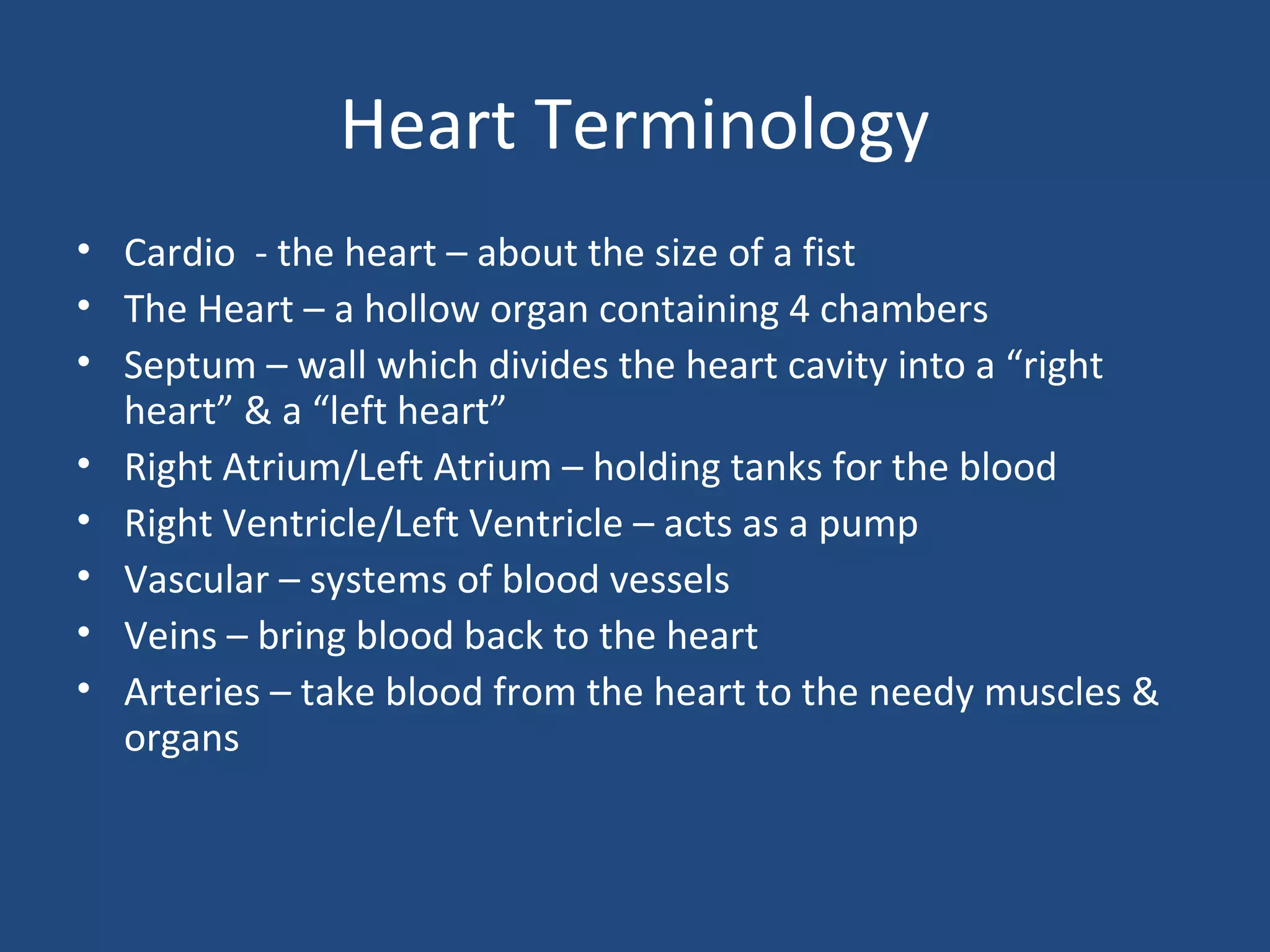 heart.ppt
