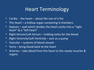 heart.ppt