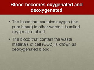 IGCSE - The heart | PPTX
