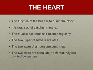 IGCSE - The heart | PPTX